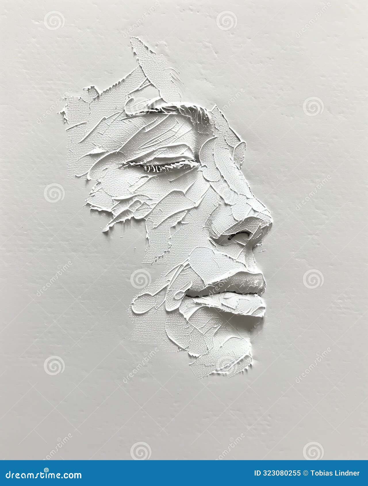 Abstract Artwork Featuring a Face Created with Thick, Textured White ...