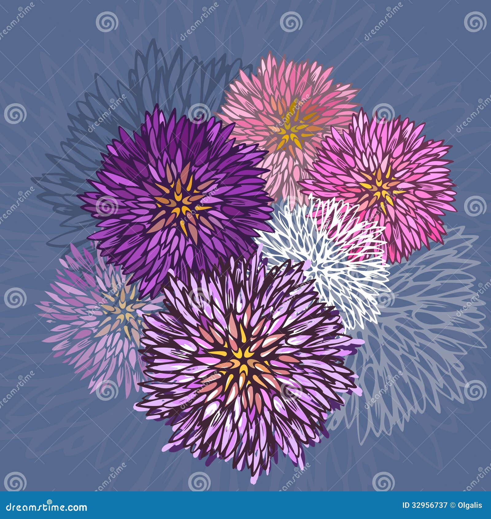 Aster Flower. Doodle Vector Hand Drawn Line Sketch. Floral Illustration ...