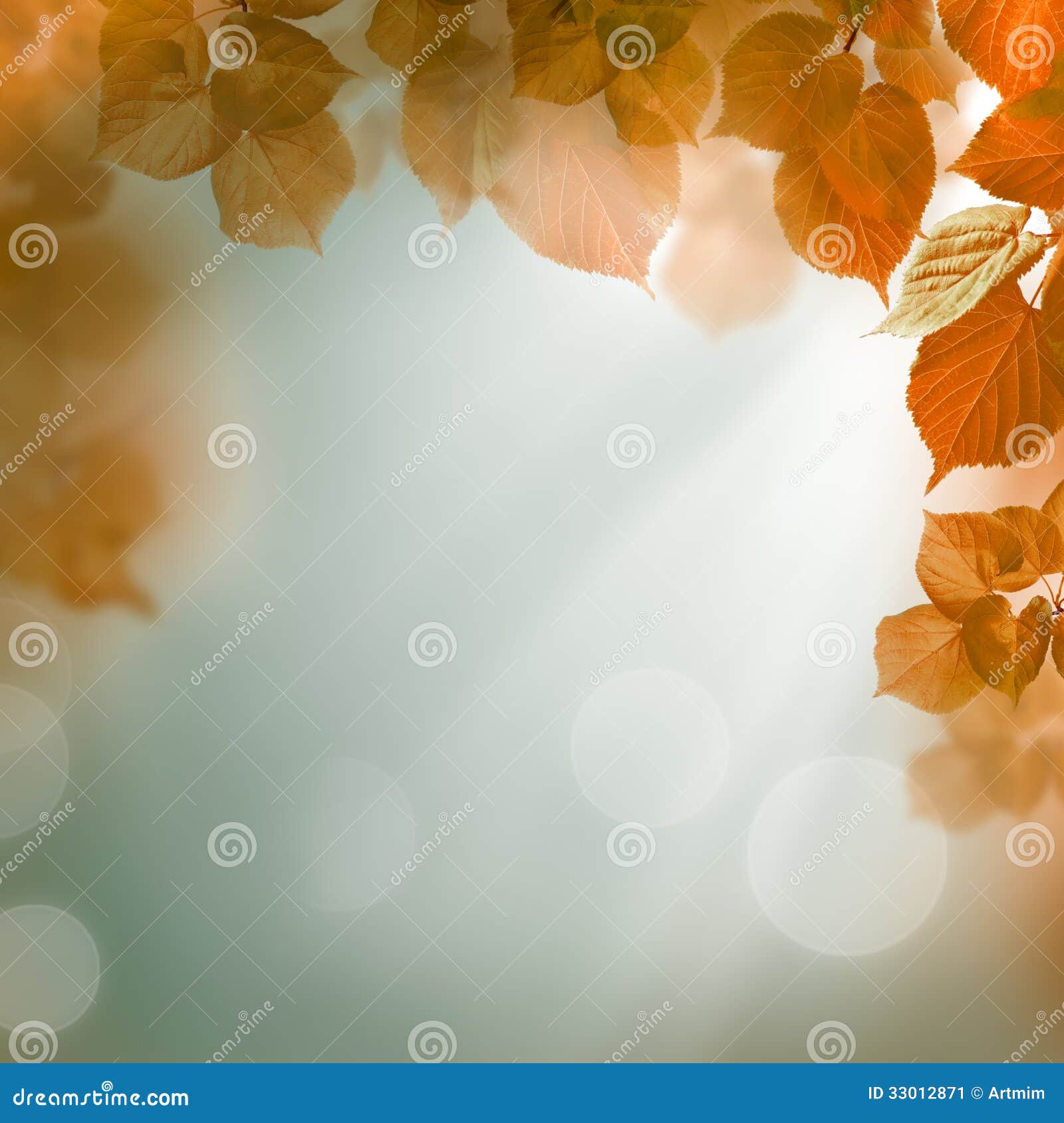 Abstract Autumn Background, Evening Light Stock Image - Image of ...