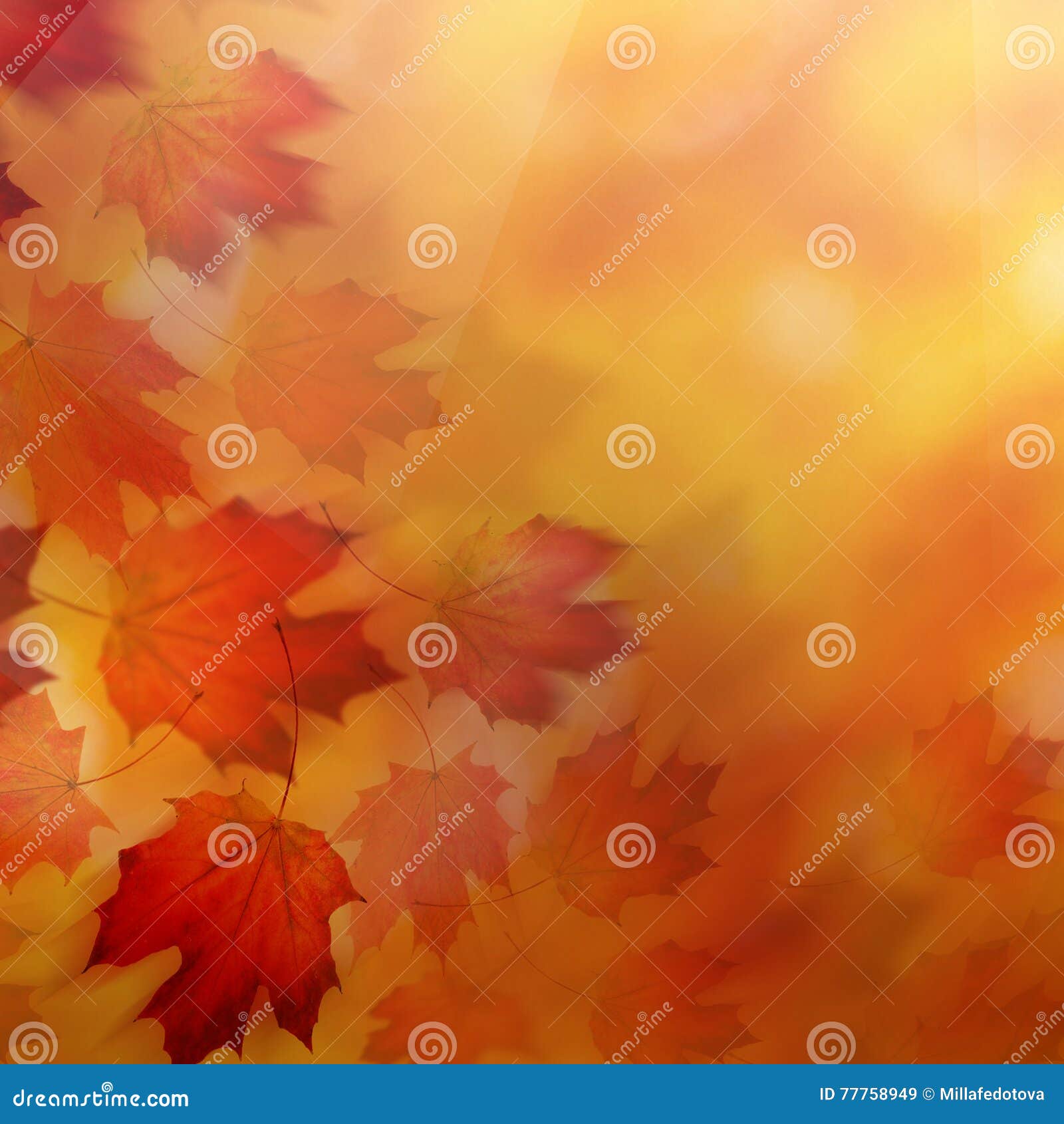 Abstract Autumn Background with Red Leaves Stock Image - Image of ...