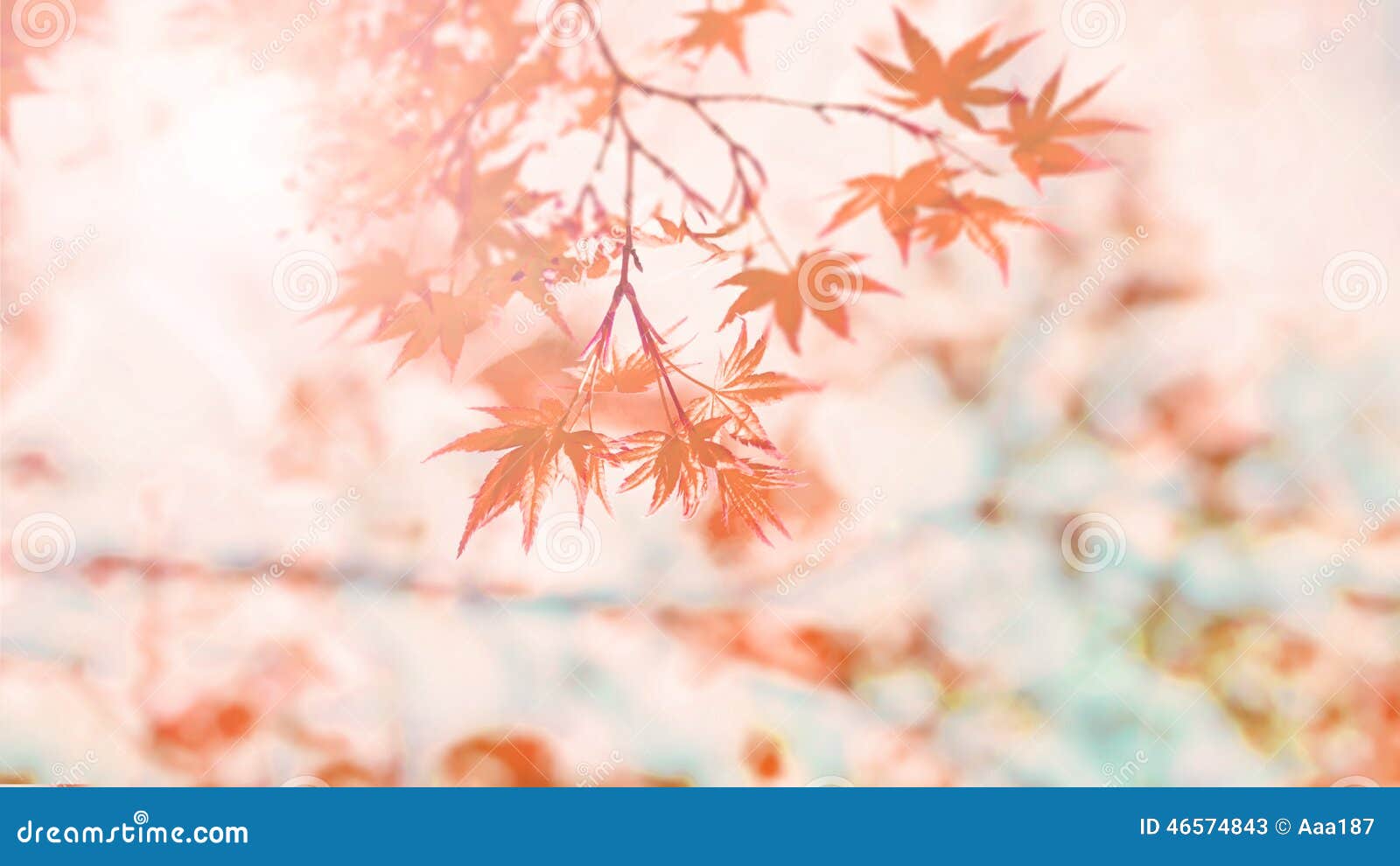 Abstract autumn background stock image. Image of flower - 46574843