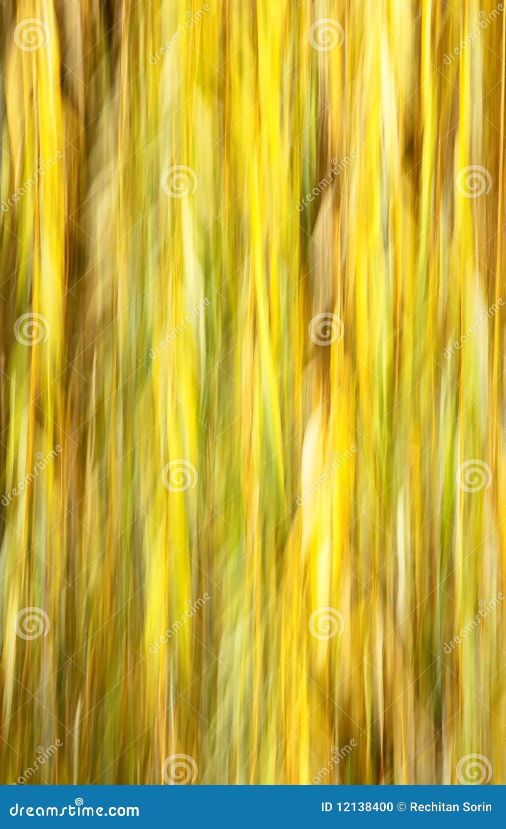 Abstract autumn colors stock photo. Image of relax, yellow - 12138400