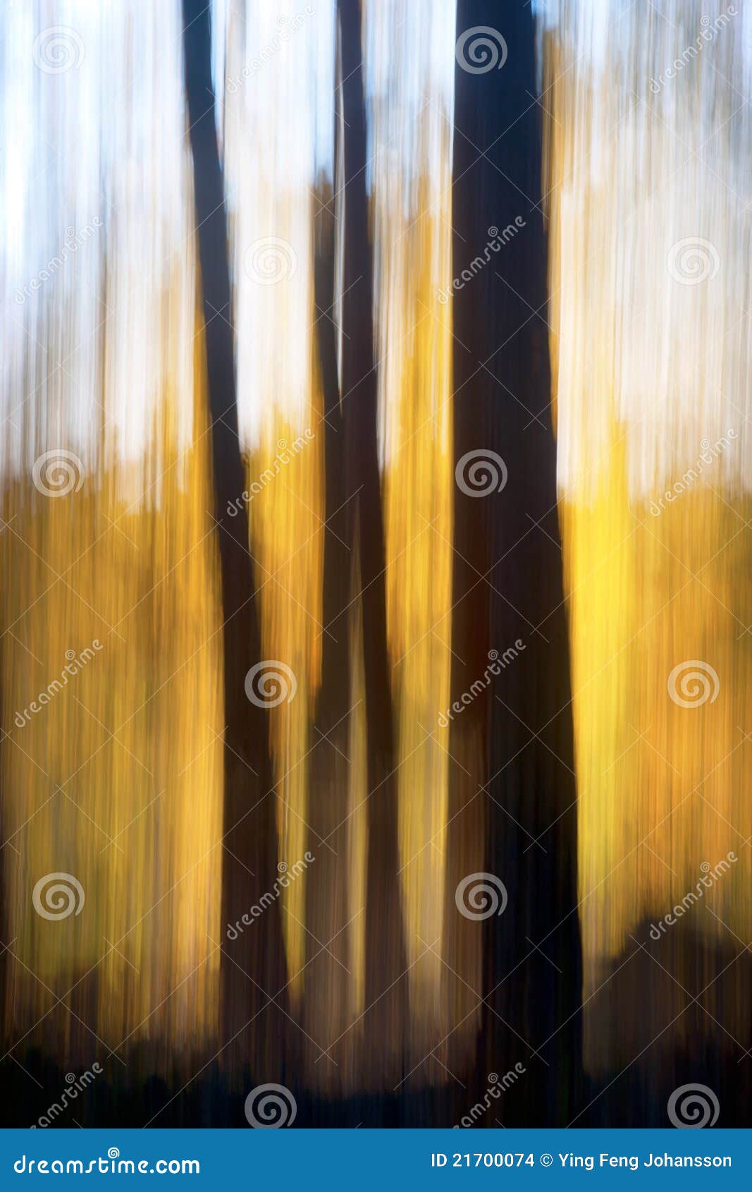 Abstract autumn forest stock photo. Image of trees, fall - 21700074