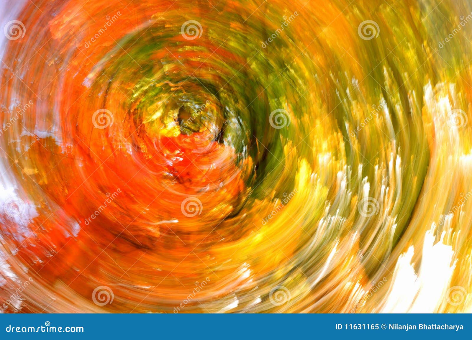 Abstract autumn palette stock image. Image of color, colorful - 11631165