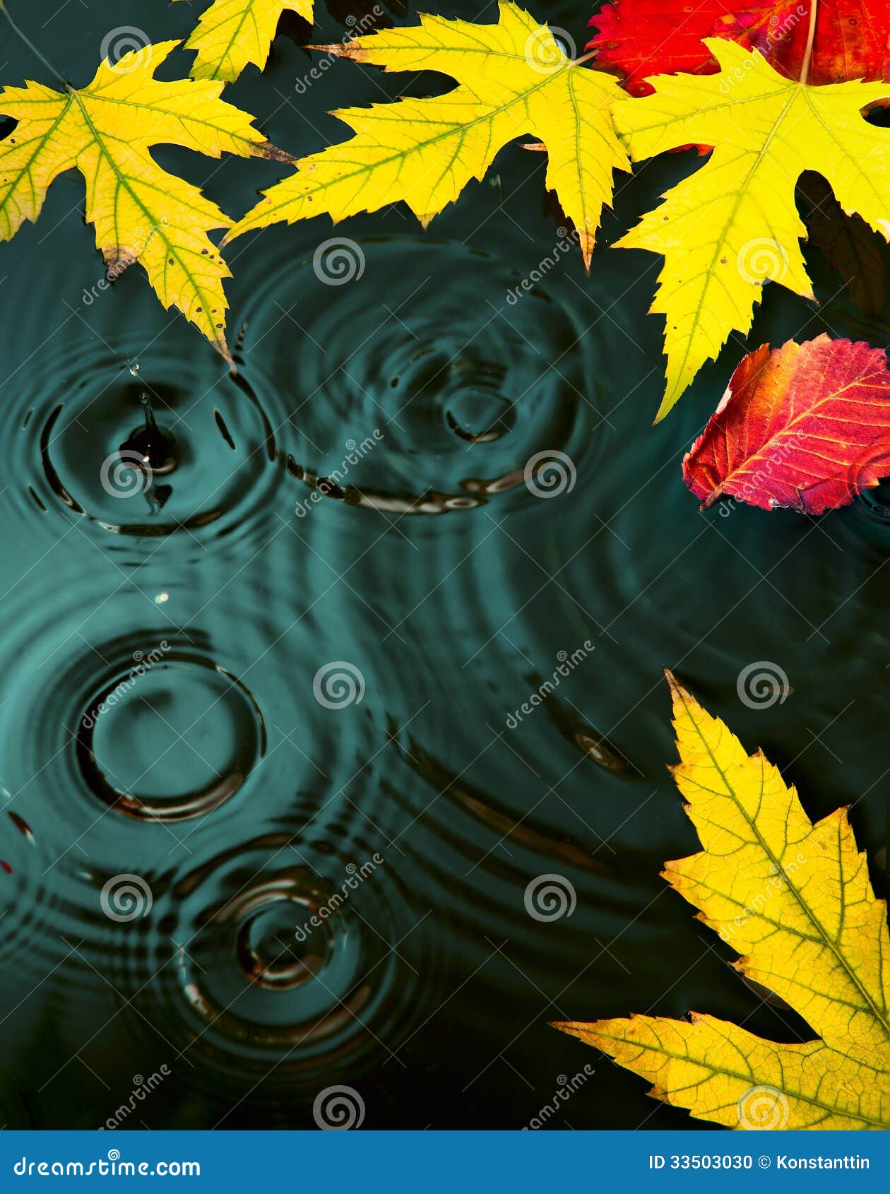 Abstract Autumn Rain Background Fall Yellow Leaves Stock Photo - Image ...