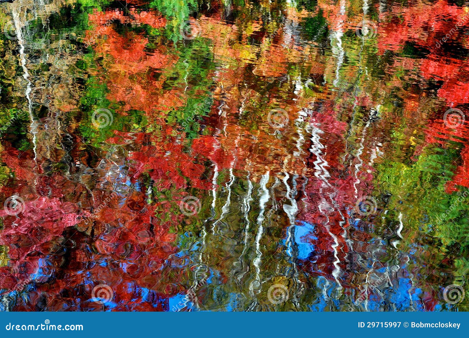 Abstract Autumn Reflection 1 Stock Image - Image of maple, reflection ...