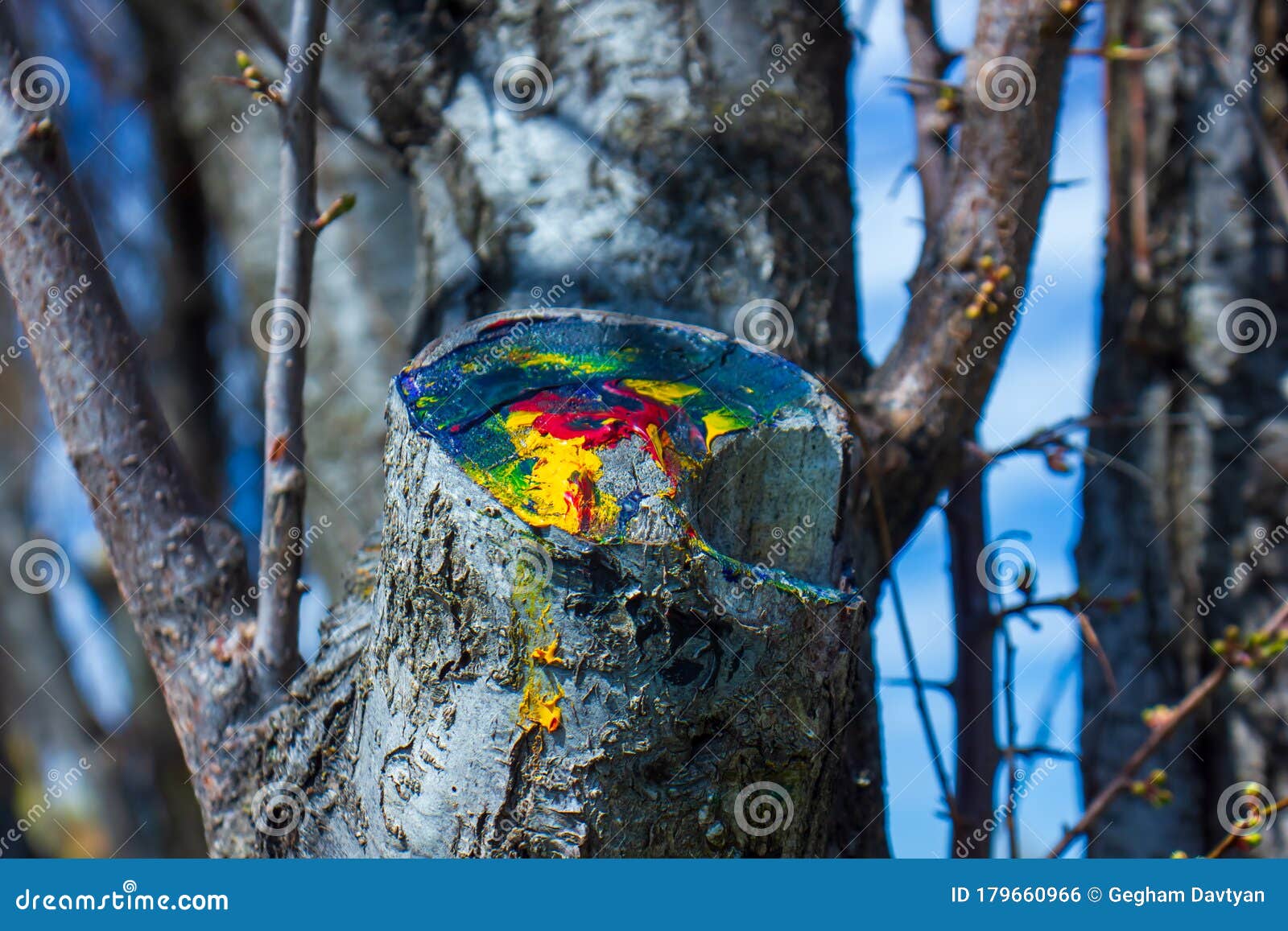 Abstract Autumn Tree in the Forest Stock Photo - Image of abstract ...