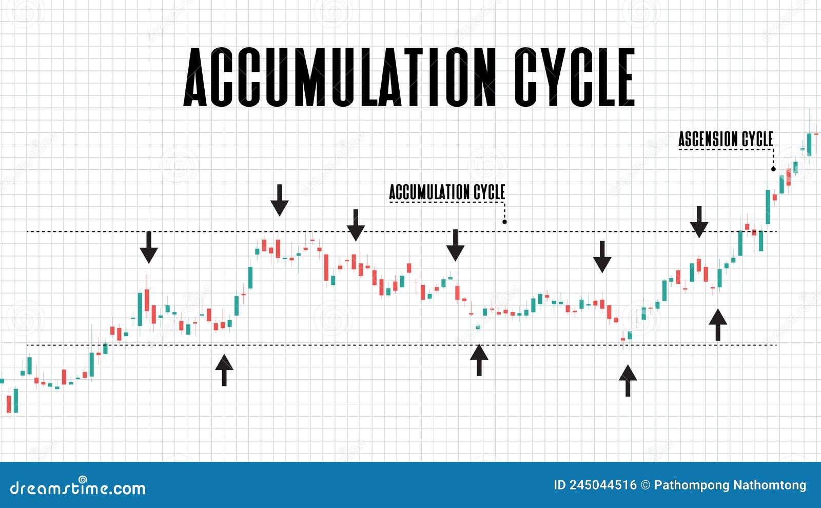 Background of Accumulation Cycle Stock Market on White Background Stock ...