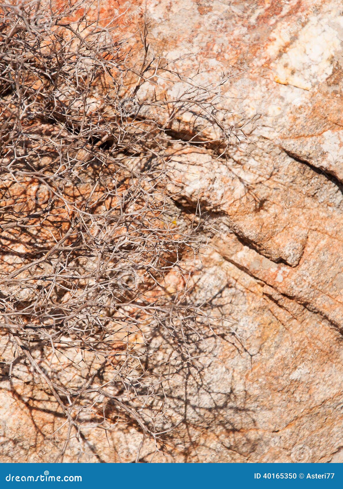 Abstract Background As a Solid Stone Wall and Branches. Stock Photo ...
