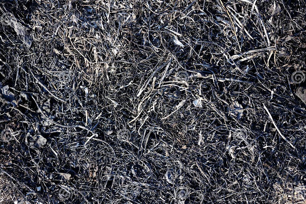 Abstract Background of Ashes. a Dark Surface for the Backdrop Stock ...