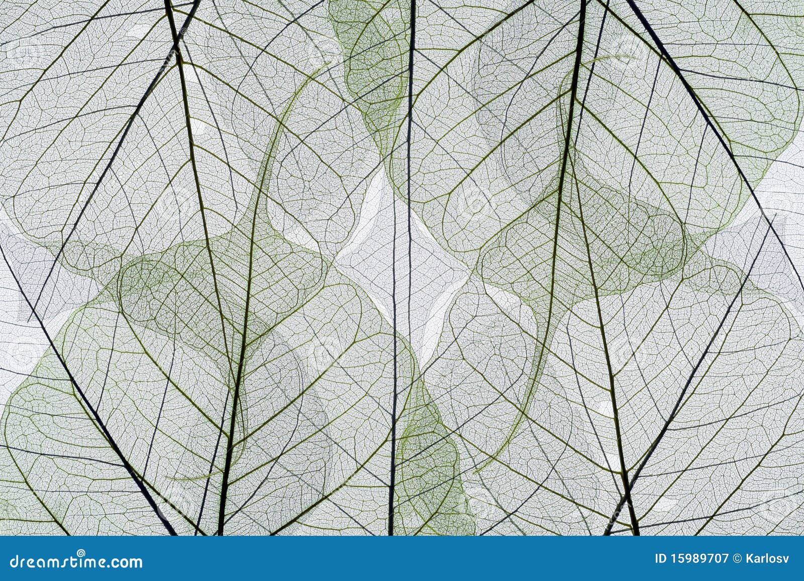 Abstract Background from Autumn Leaves Stock Image - Image of leaves ...