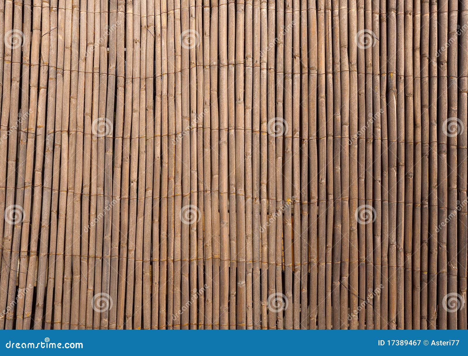 Abstract Background - Bamboo Wall Texture Stock Image - Image of ...