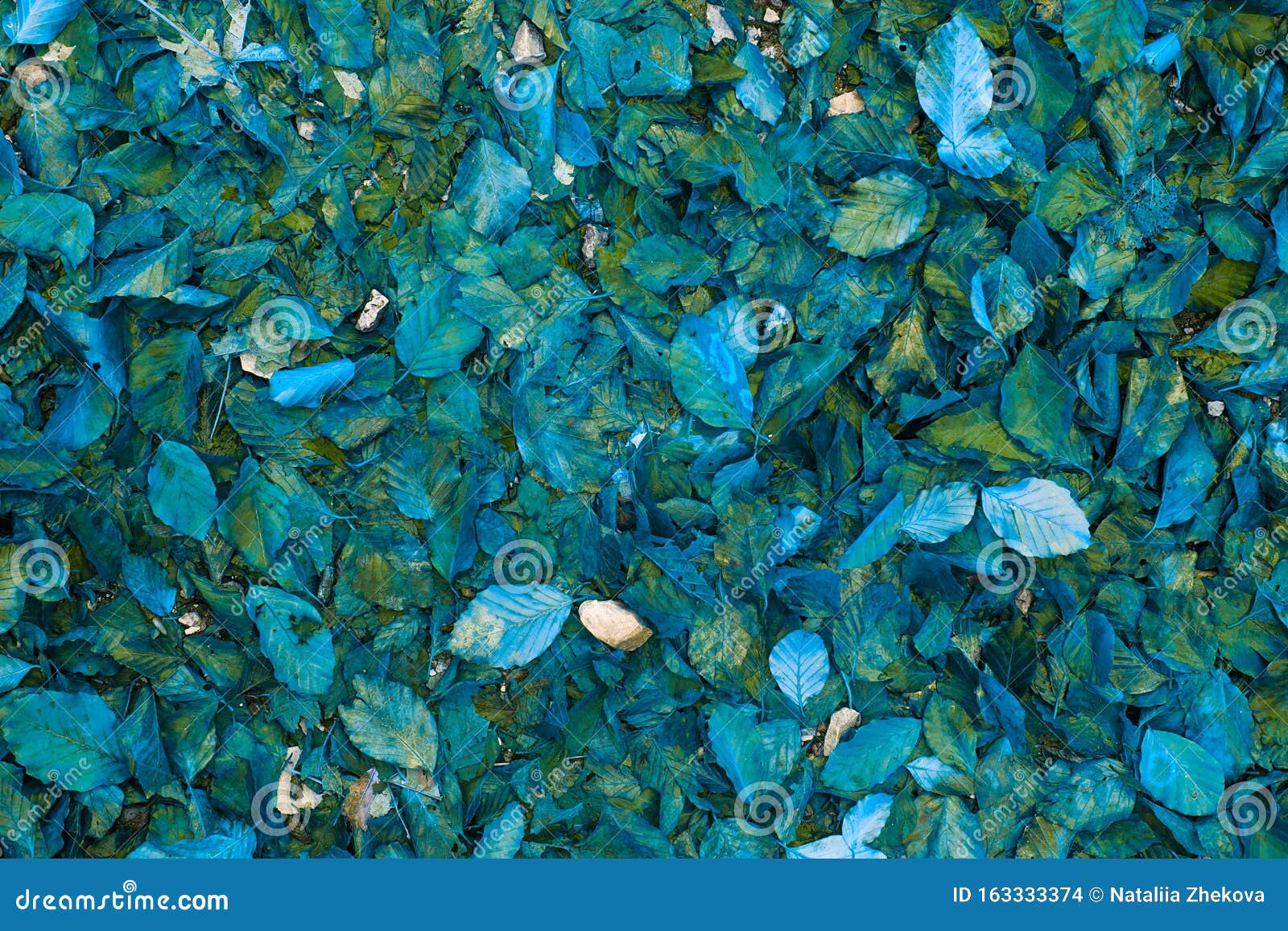 Abstract Background of Blue Fall Leaves Stock Photo - Image of ground ...