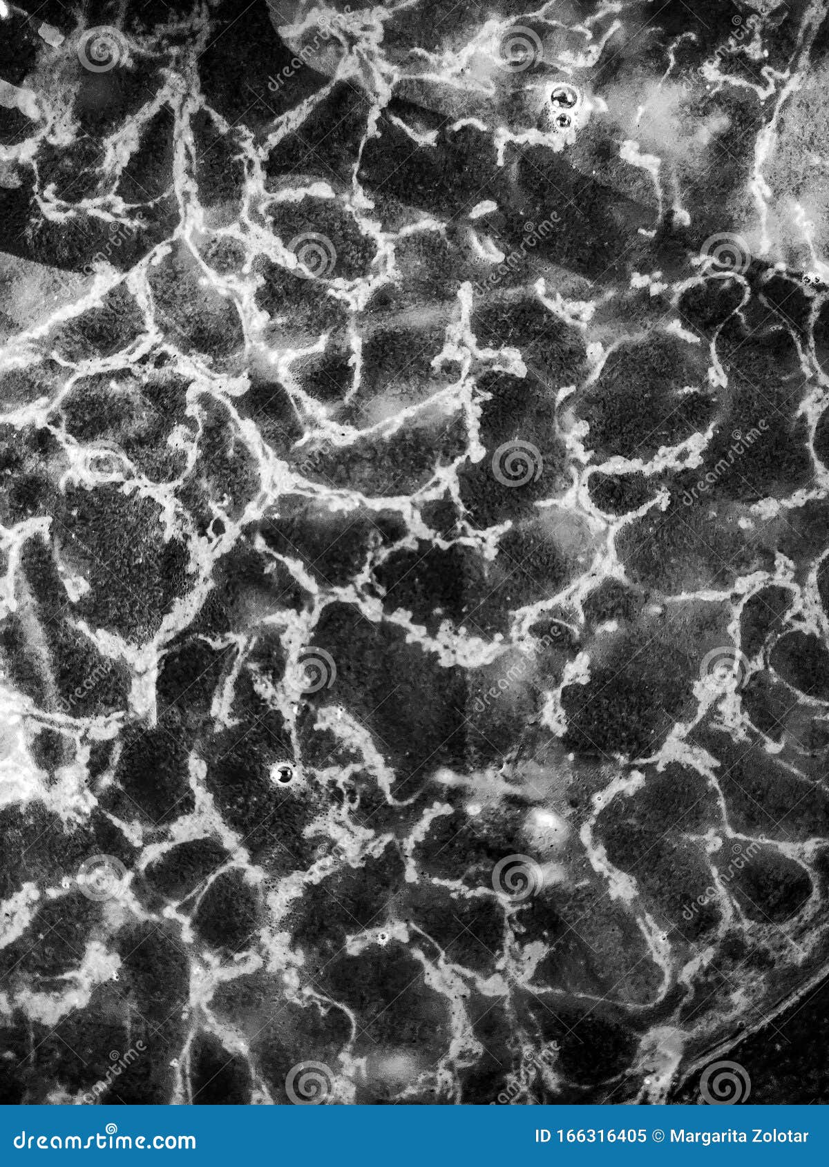 Abstract Background. Brown Grease on the Water Gives the Appearance of ...