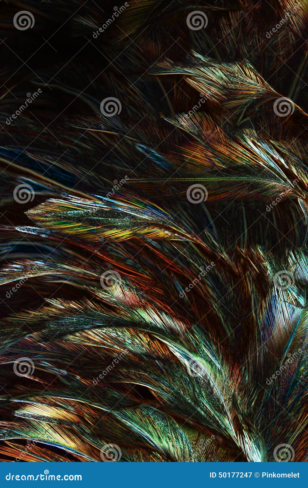 Abstract Background Colorful and Dark Shadow of Feather Stock Image ...
