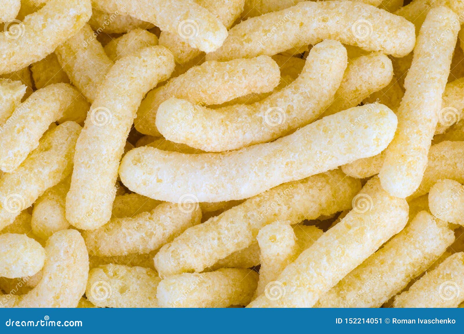Many Corn Cobs In The Cart. Rows Of Corn In The Shell, Lay In Piles ...