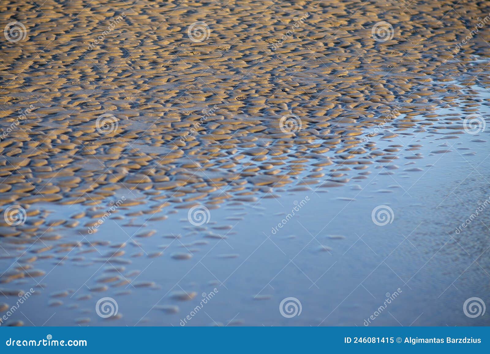 Abstract Background of Deep Sand Ripples at the Beach Stock Image ...