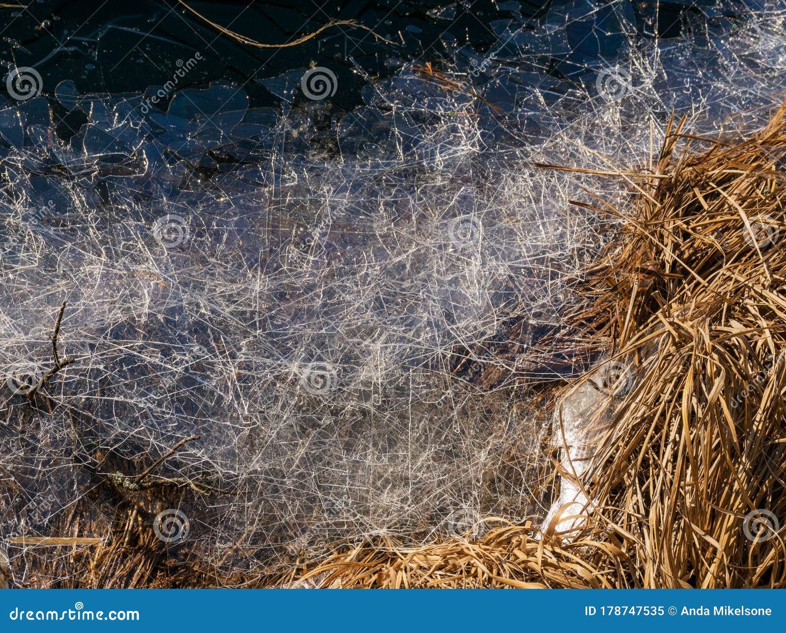 Textures Of Wind Blown Natural Patterns In The Sand Dunes On A Sunny ...