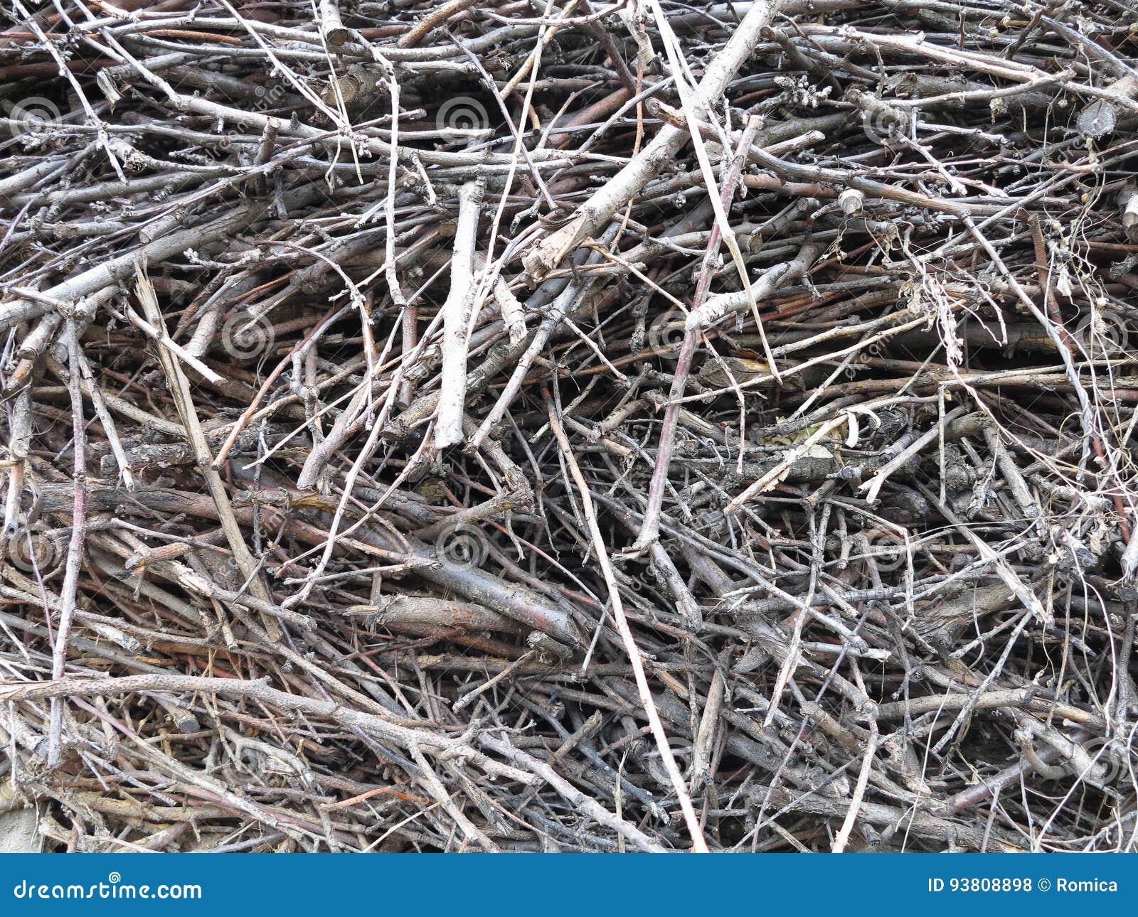 Abstract Background of Dry Stack Thin Firewood Stock Photo - Image of ...
