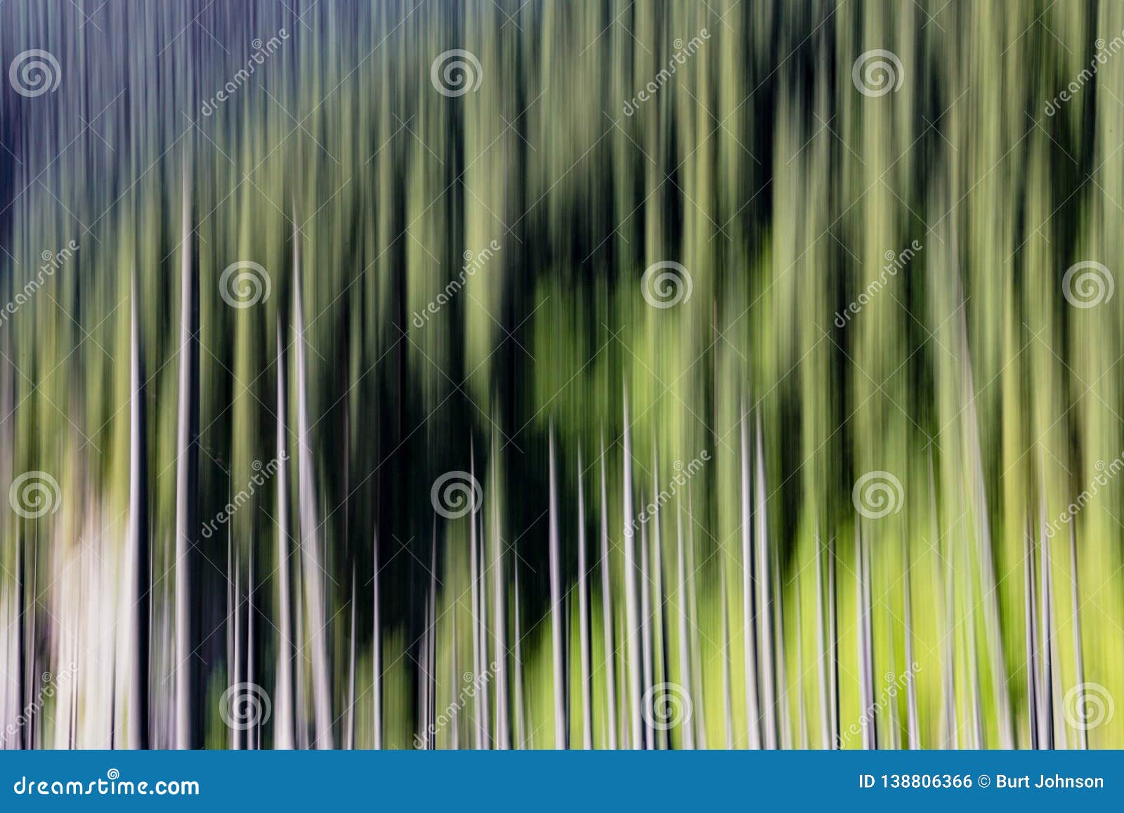 Abstract Background of Empty Trees Blurred Stock Photo - Image of ...