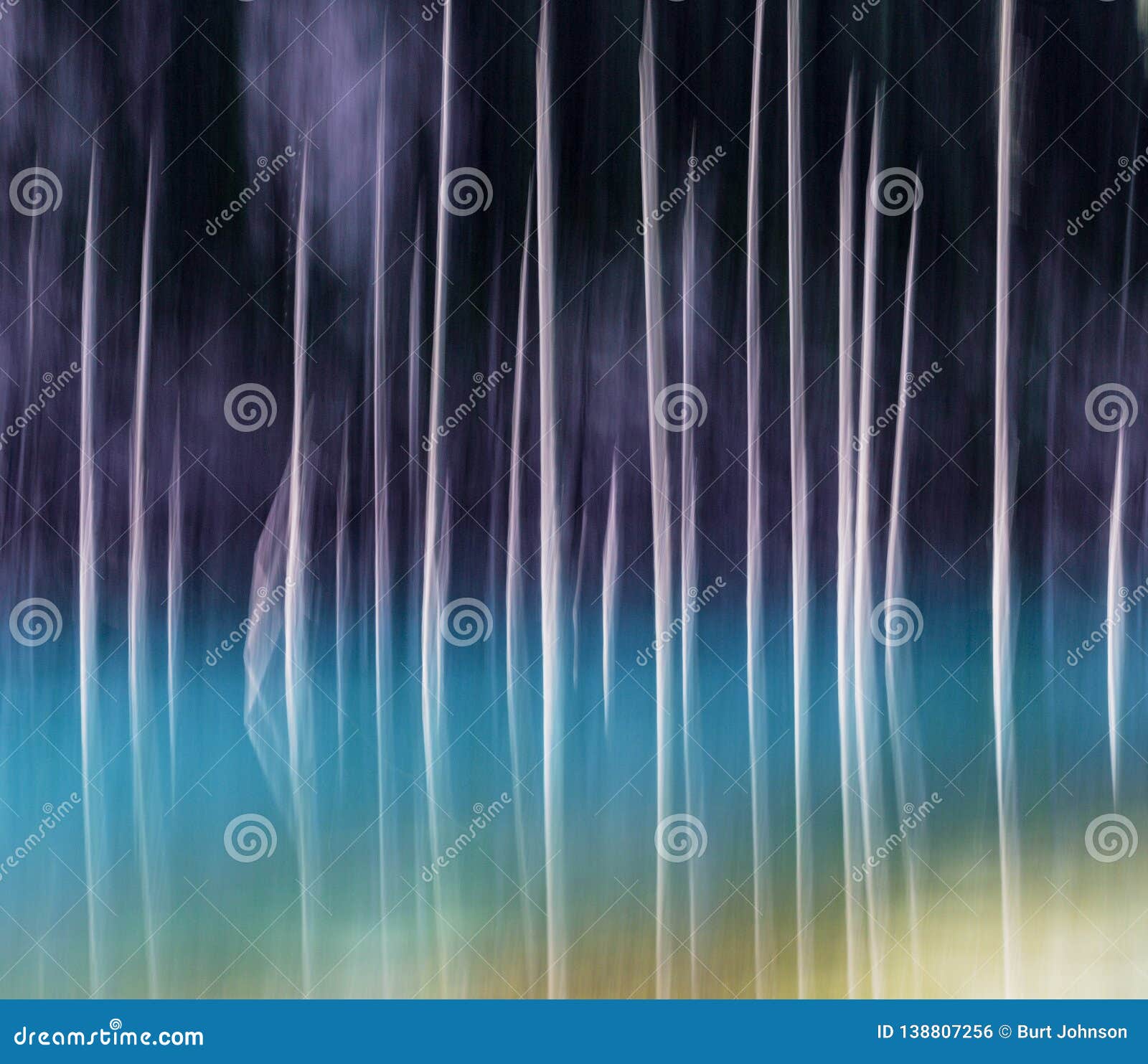 Abstract Background of Empty Trees Blurred Stock Photo - Image of ...