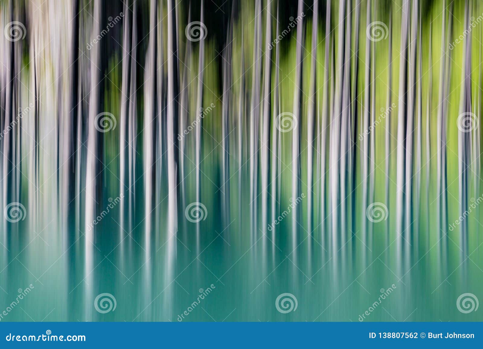 Abstract Background of Empty Trees Blurred Stock Photo - Image of ...