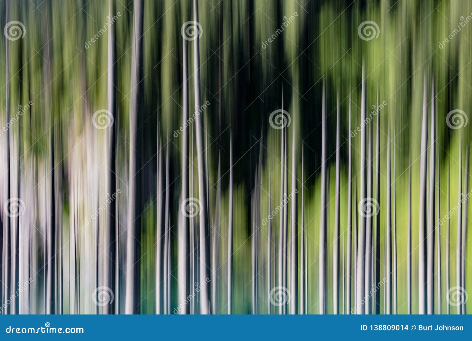 Abstract Background of Empty Trees Blurred Stock Photo - Image of ...