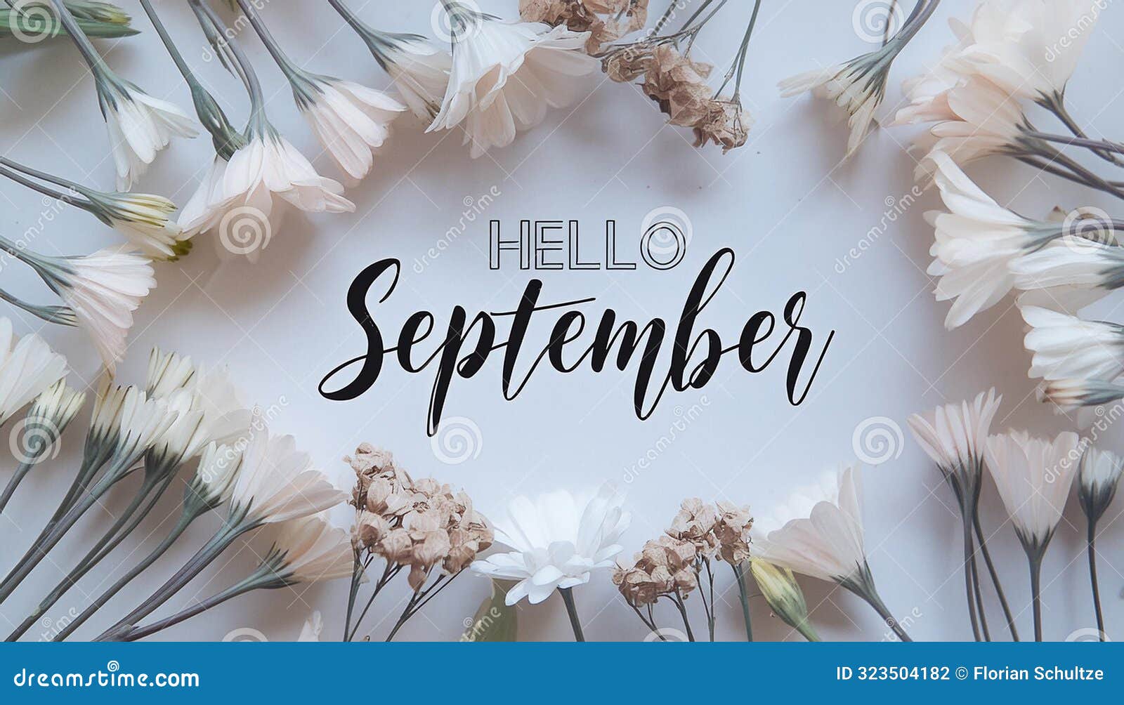 Abstract Background with Flowers Frame Around. Hello September - Modern ...