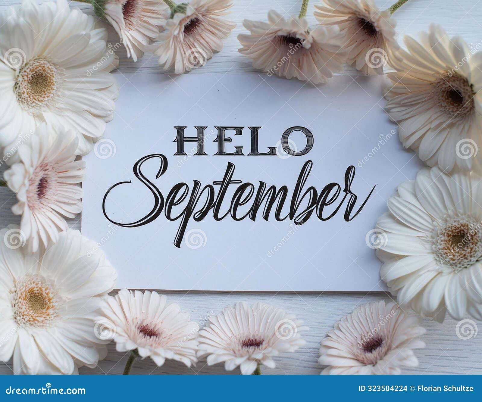 Abstract Background with Flowers Frame Around. Hello September - Modern ...