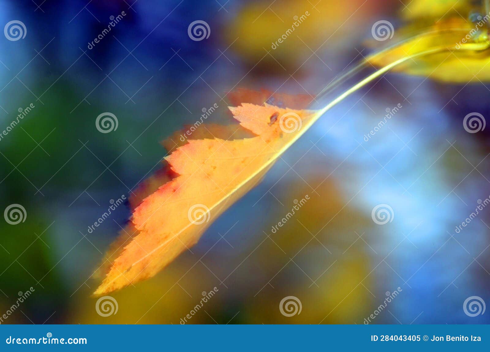 Abstract Background Formed by Leaves of Trees Moved by the Wind ...