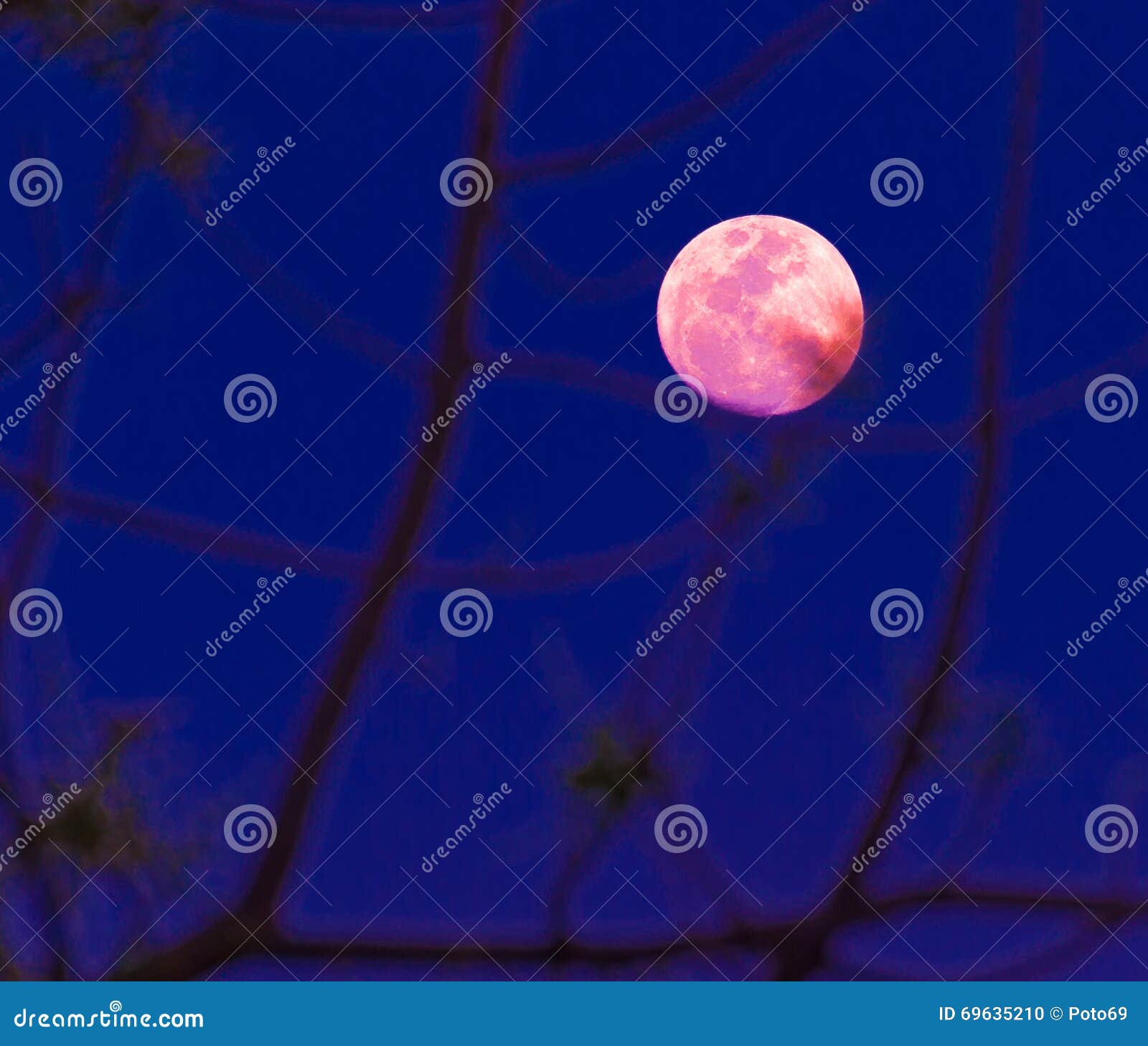 Abstract Background. Full Moon. Stock Photo - Image of natural, floral ...