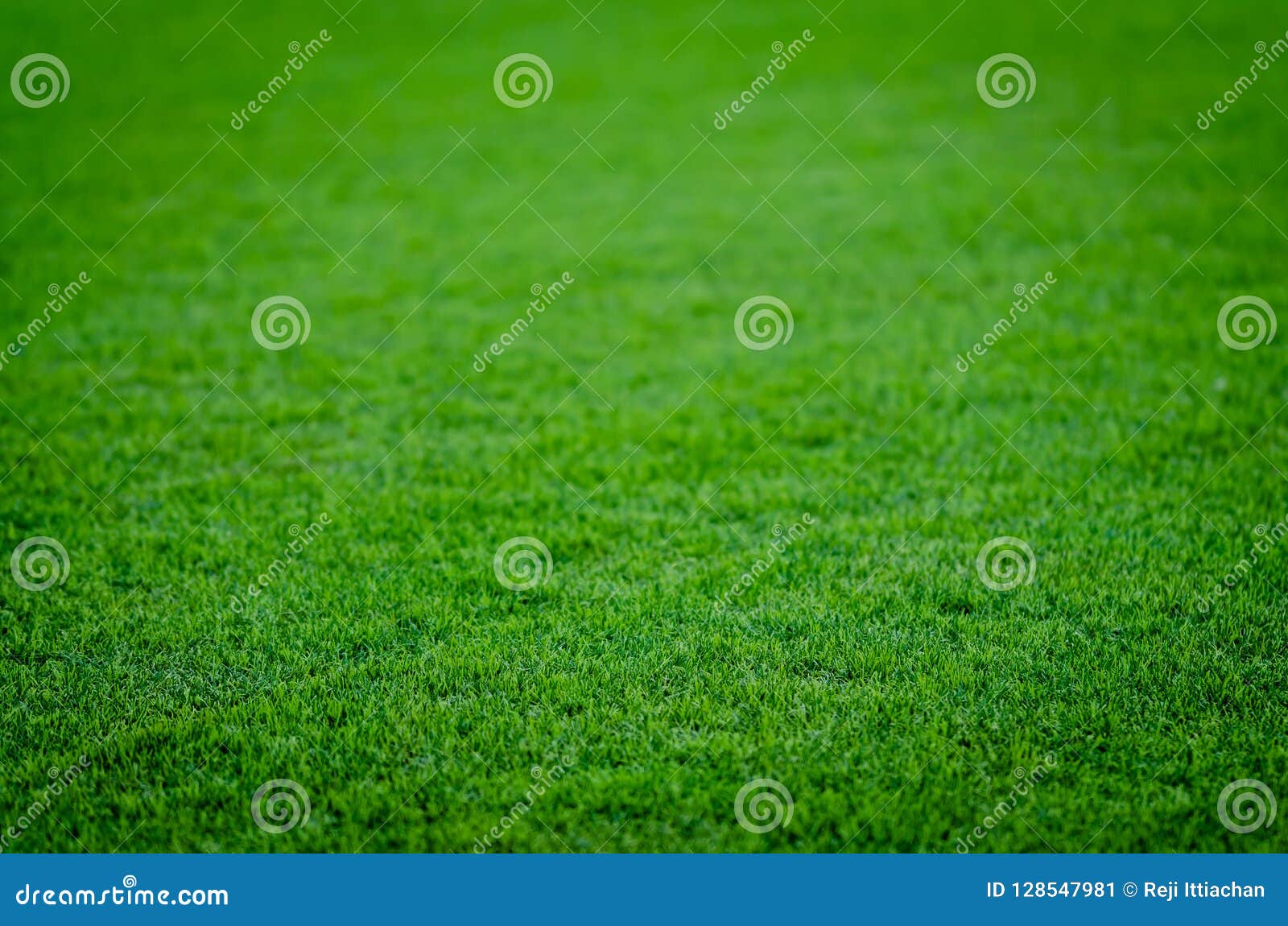 Green Grass Background stock image. Image of copy, outdoor - 128547981