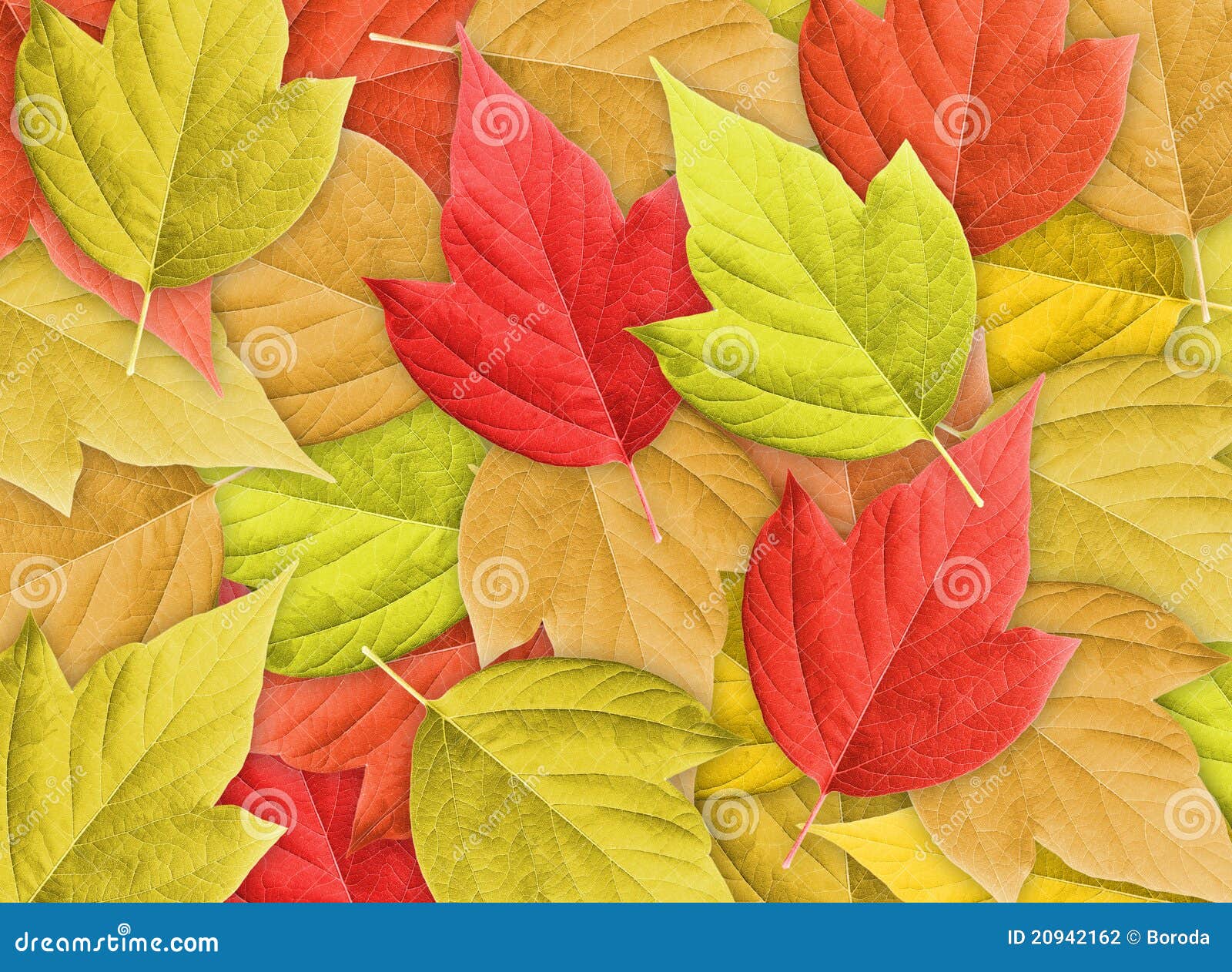 Abstract Background with Group of Autumn Leafs Stock Photo - Image of ...