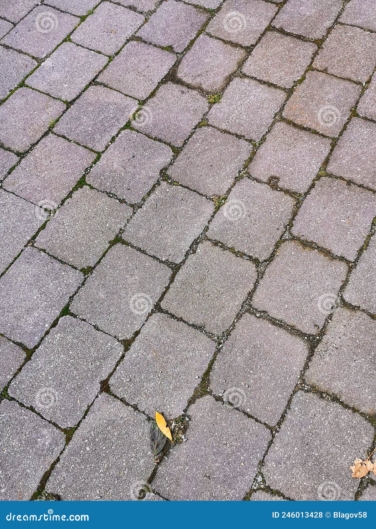 Concrete Tile Texture. City Pavement Background. Abstract Stone Brick ...