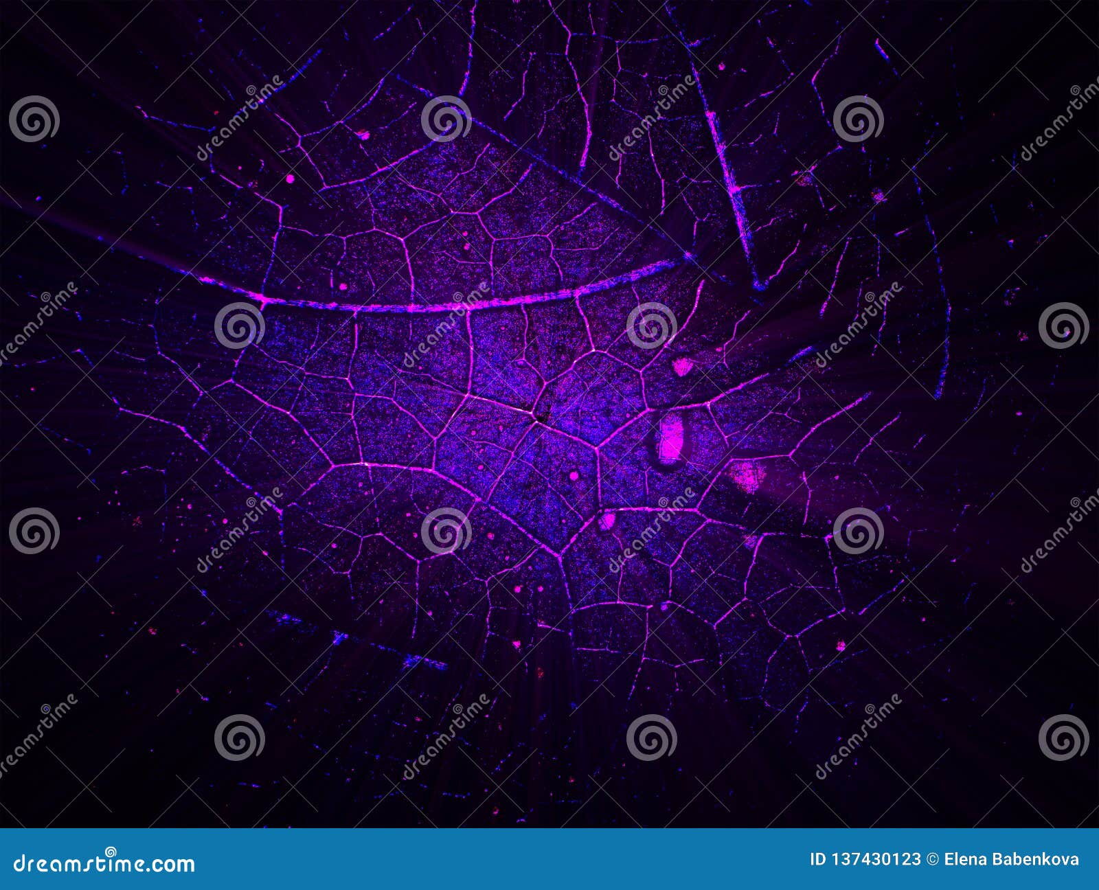 Violet Magic Leaves As Pattern Royalty-Free Stock Photography ...