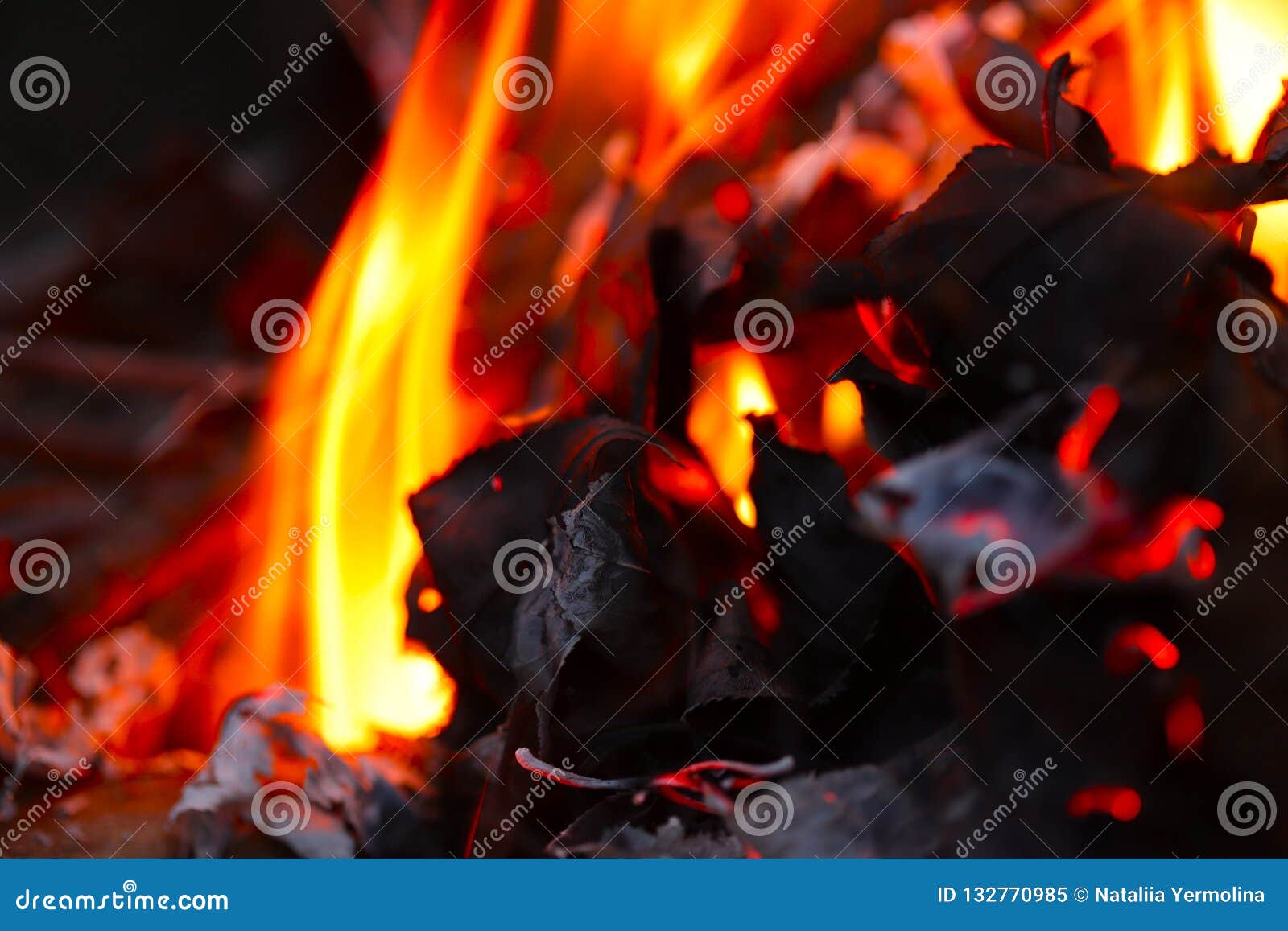 Smoldering Leaves Stock Photography | CartoonDealer.com #55833032