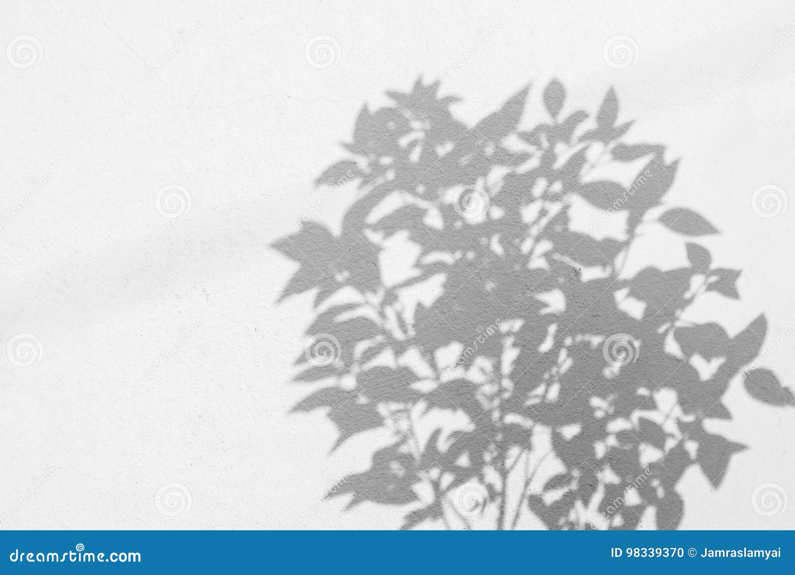 Abstract Background of Leaf Shadows on Wall. Stock Photo - Image of ...