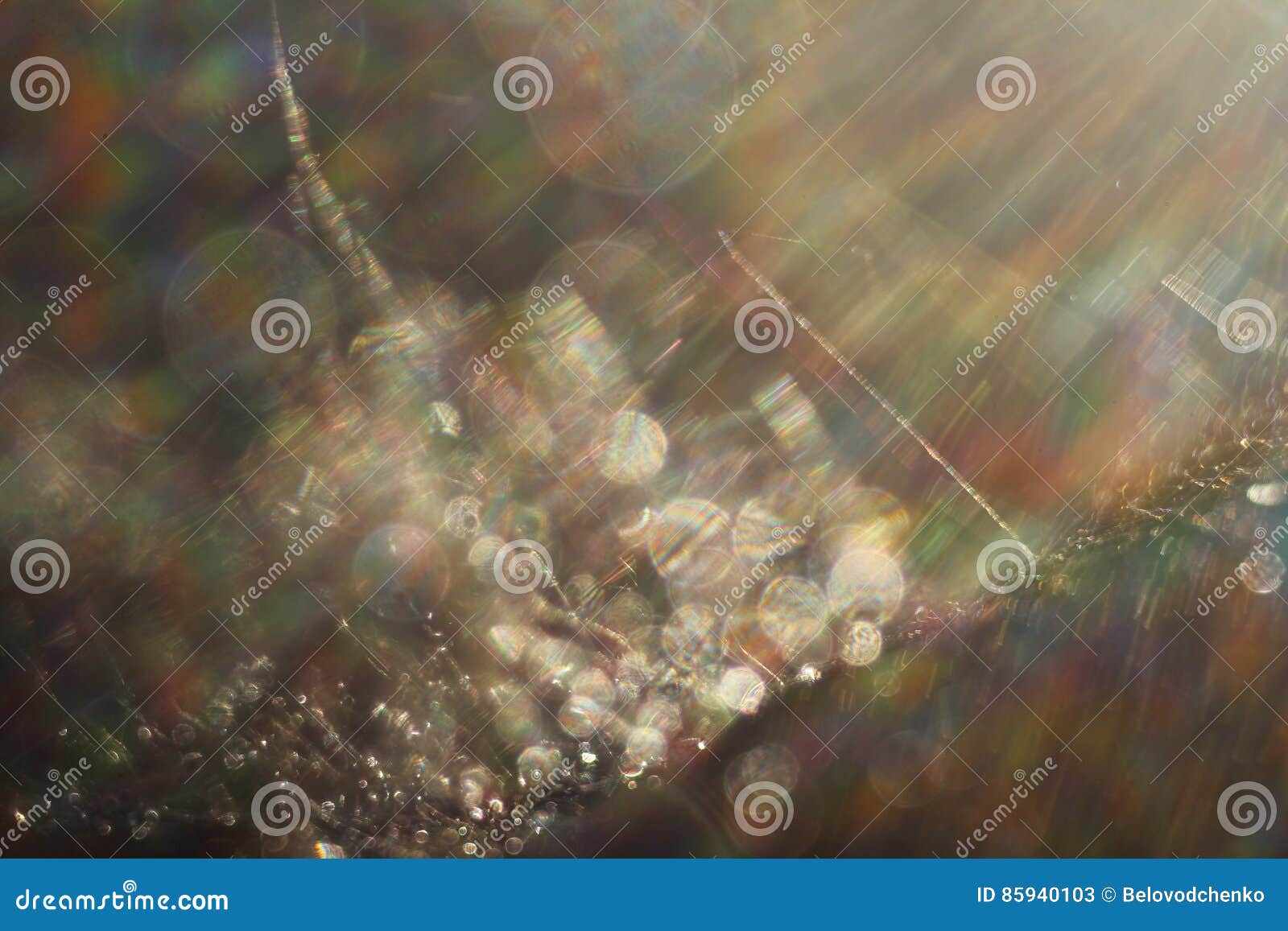 Abstract Background - Light Color Flashes and Rays on Black. Lens Flare ...