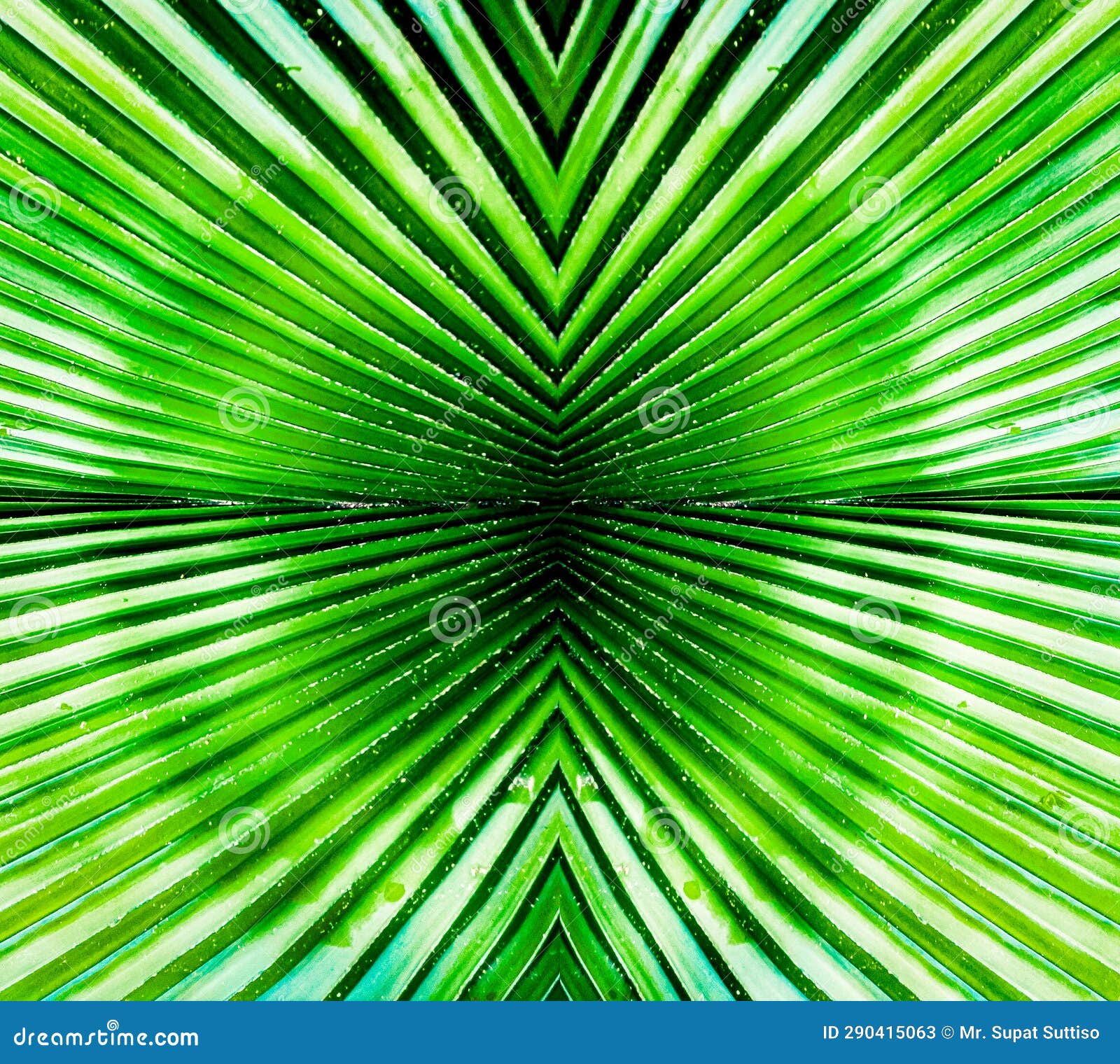 Abstract Background, Line Pattern, Green Leaves, Design Template Stock ...