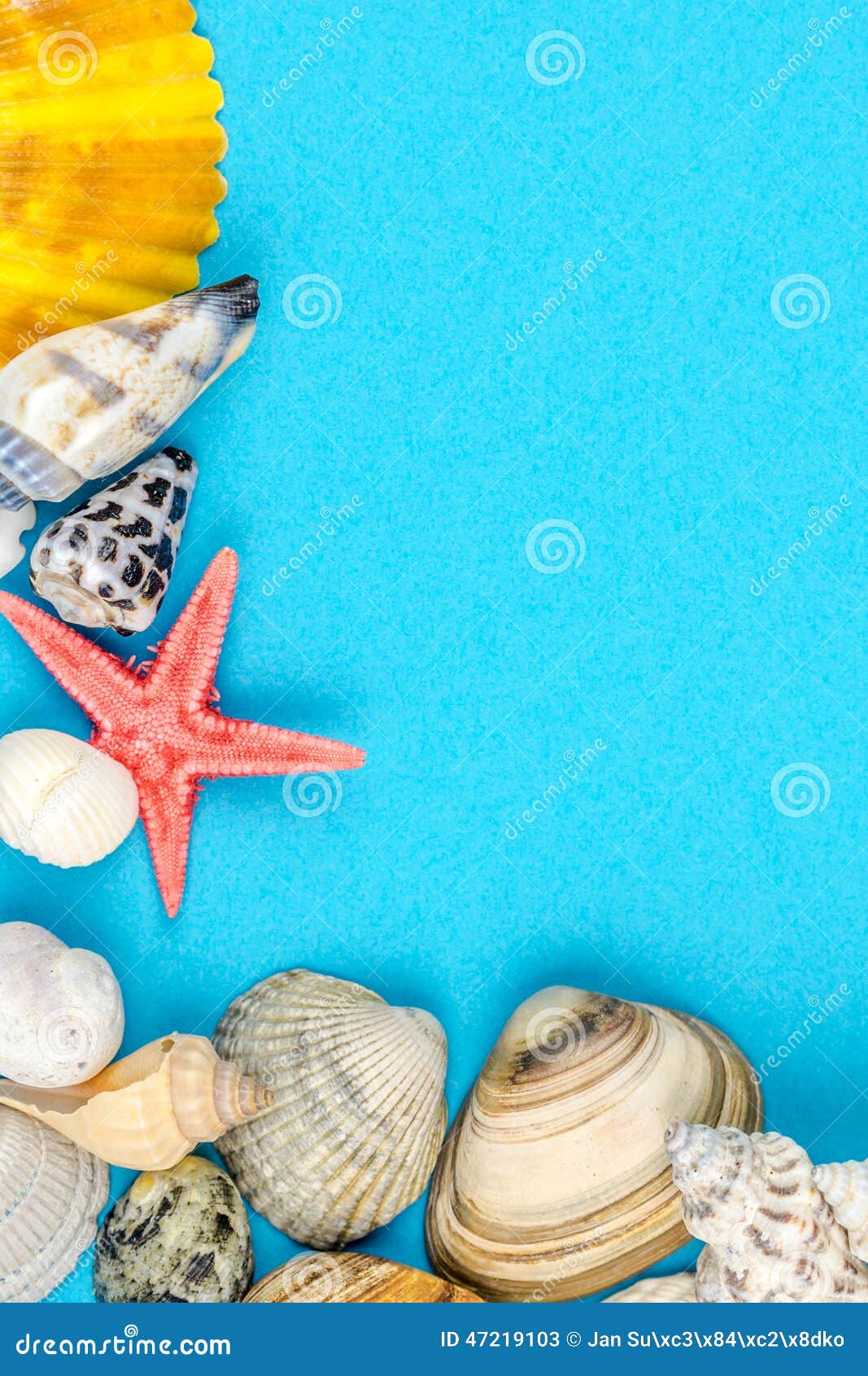 Abstract Background Made of Shells Blue Background Stock Image - Image ...