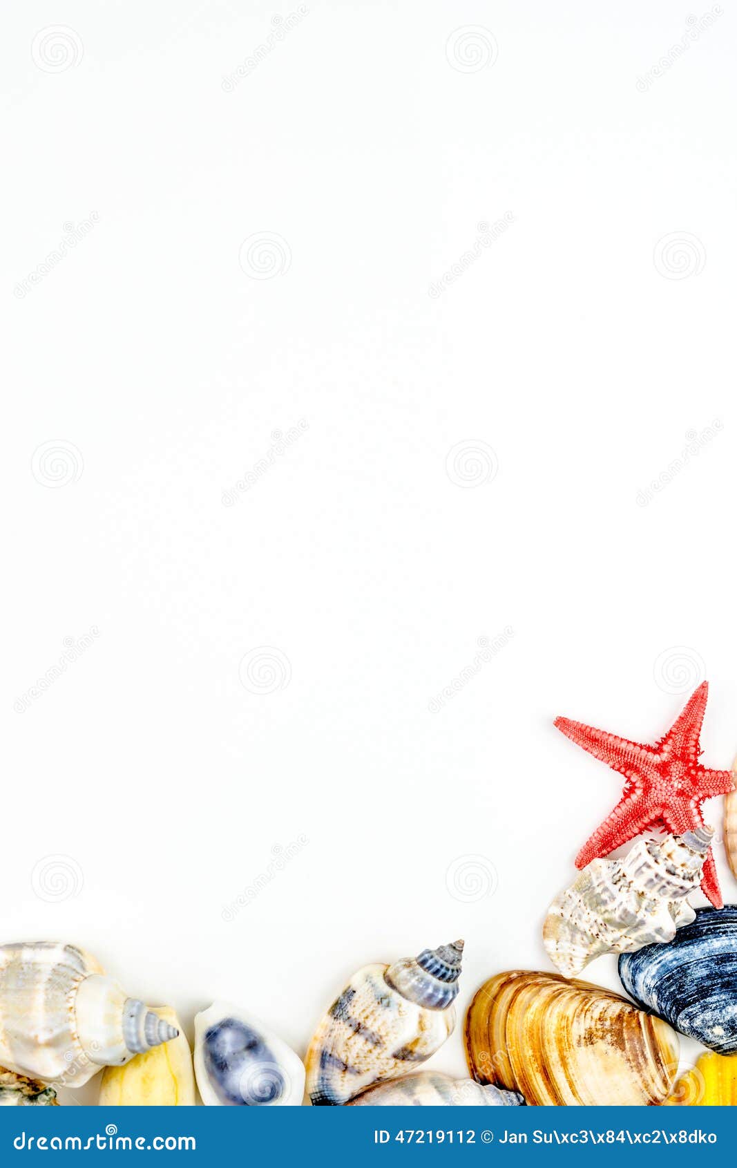 Abstract Background Made of Shells White Background Stock Photo - Image ...