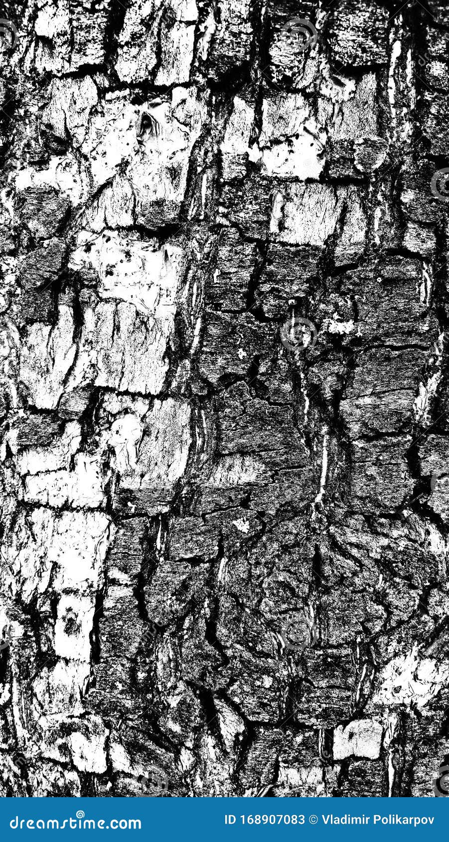 Abstract Background. Monochrome Texture Stock Image - Image of ...