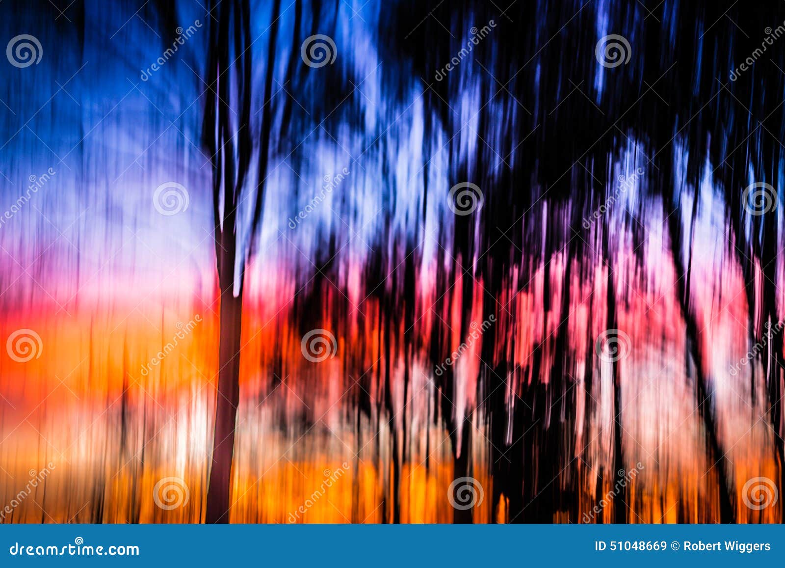 Abstract Background Moving Tree Sunset Stock Image - Image of dynamic ...