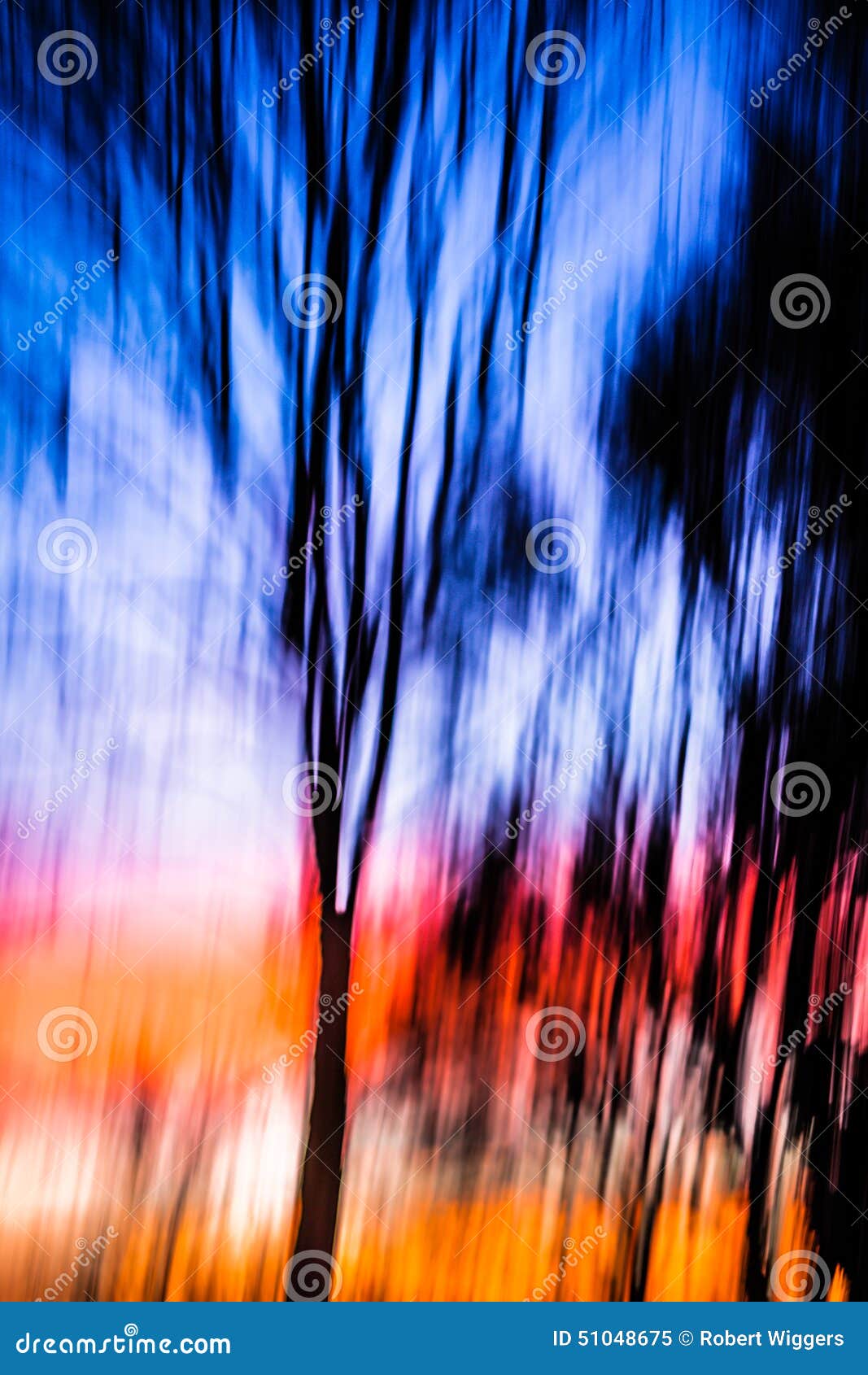 Abstract Background Moving Tree Sunset Stock Image - Image of beams ...