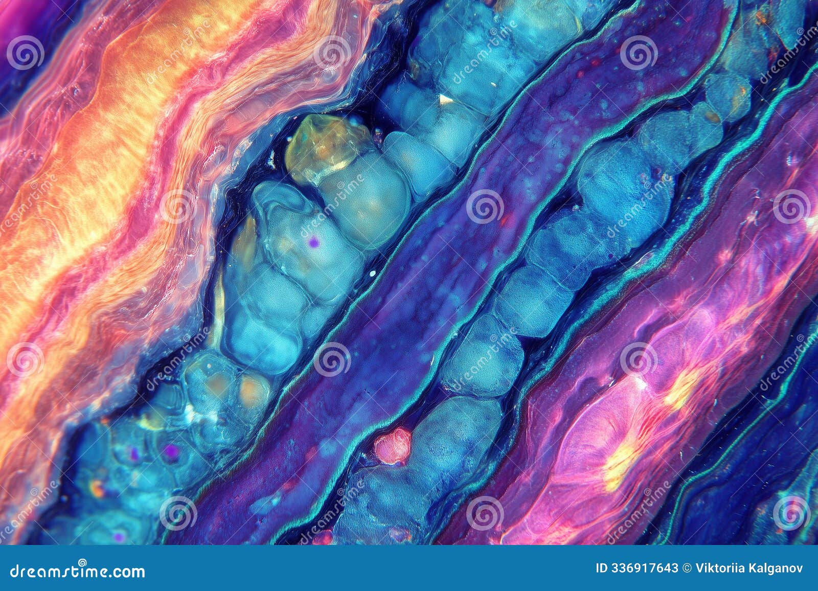 Abstract Background of Multicolored Fibers Under a Microscope Stock ...