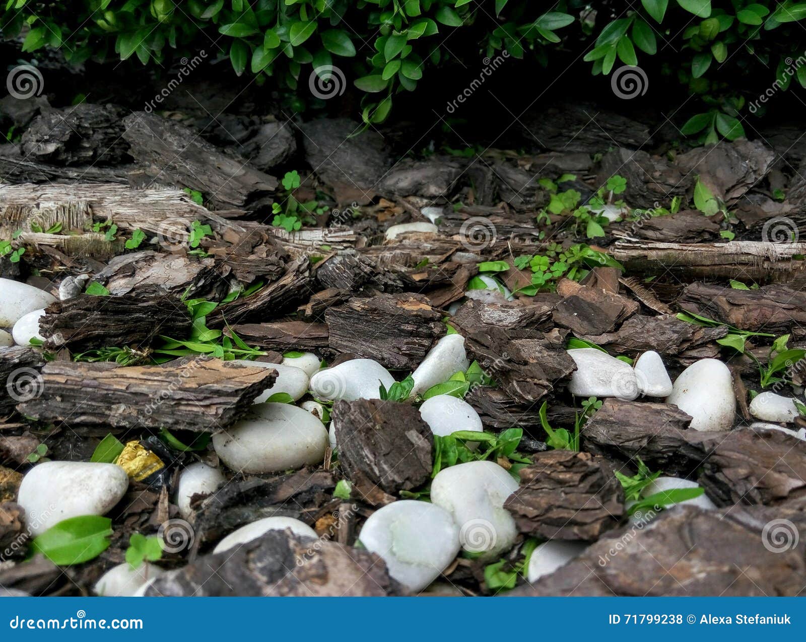 Abstract Background of Natural Objects Stock Photo - Image of stones ...