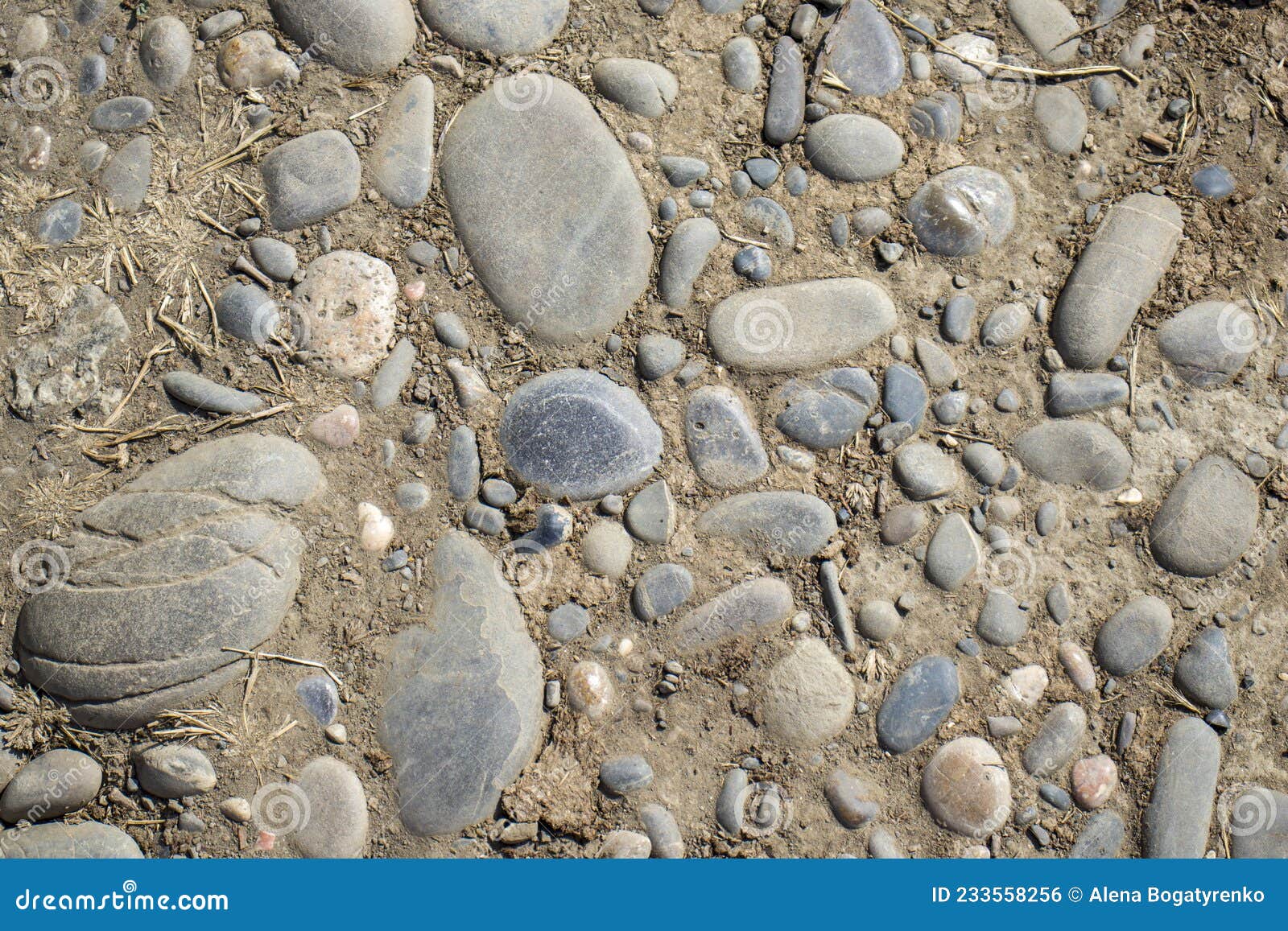 Small Pebbles Embedded in Cement Stock Photo - Image of construction ...