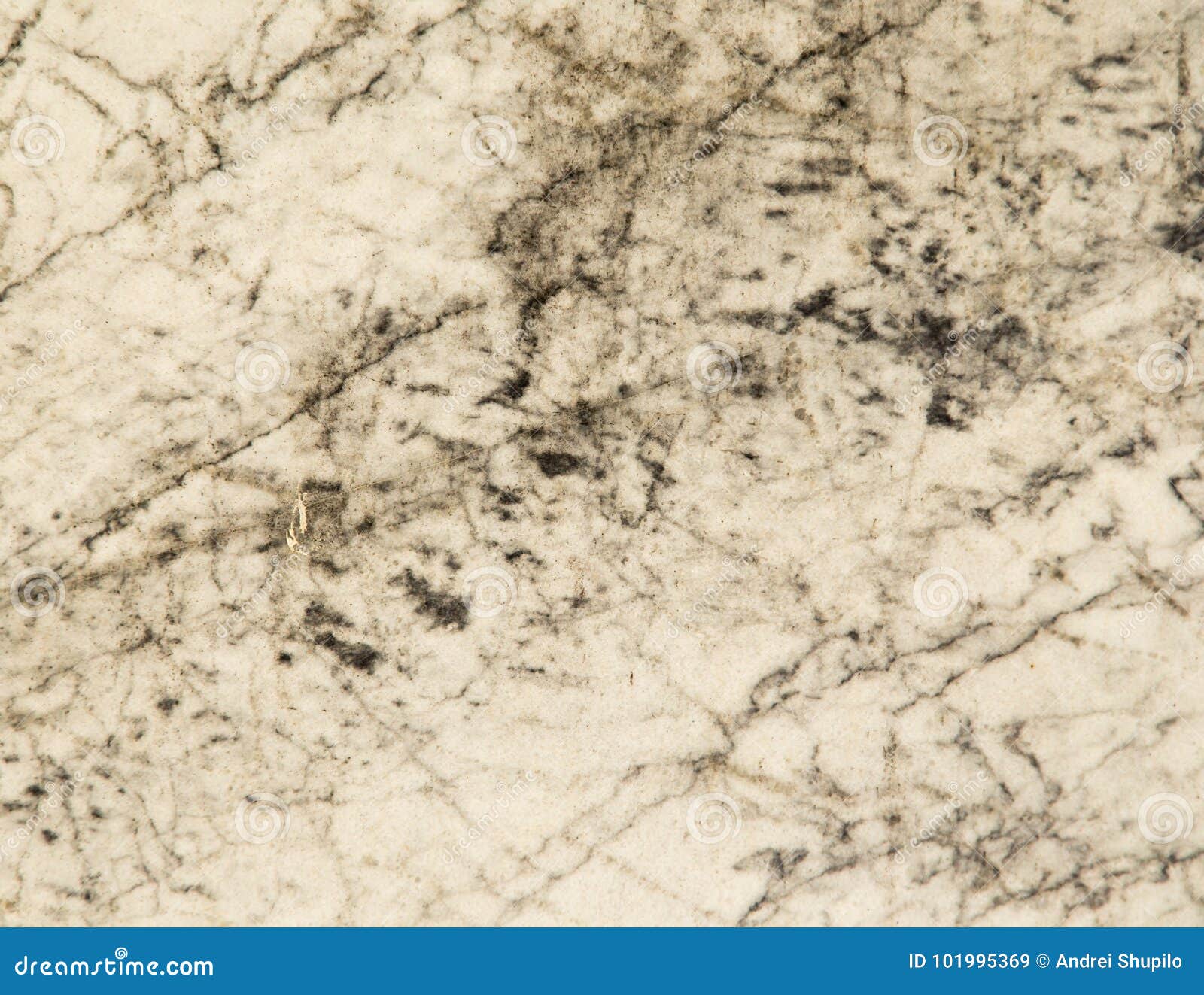 Abstract Background of a Processed Marble Stone Stock Image - Image of ...
