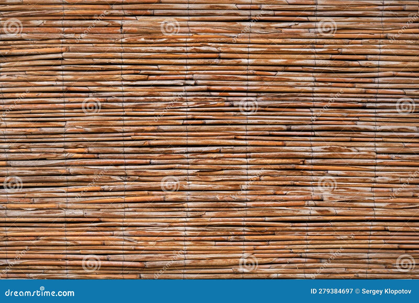Abstract Background of Reed or Straw Branches Stock Image - Image of ...
