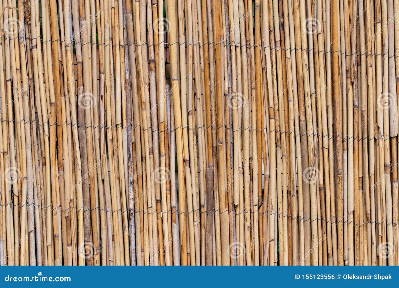 Abstract Background with Reeds, Background Texture Stock Photo - Image ...
